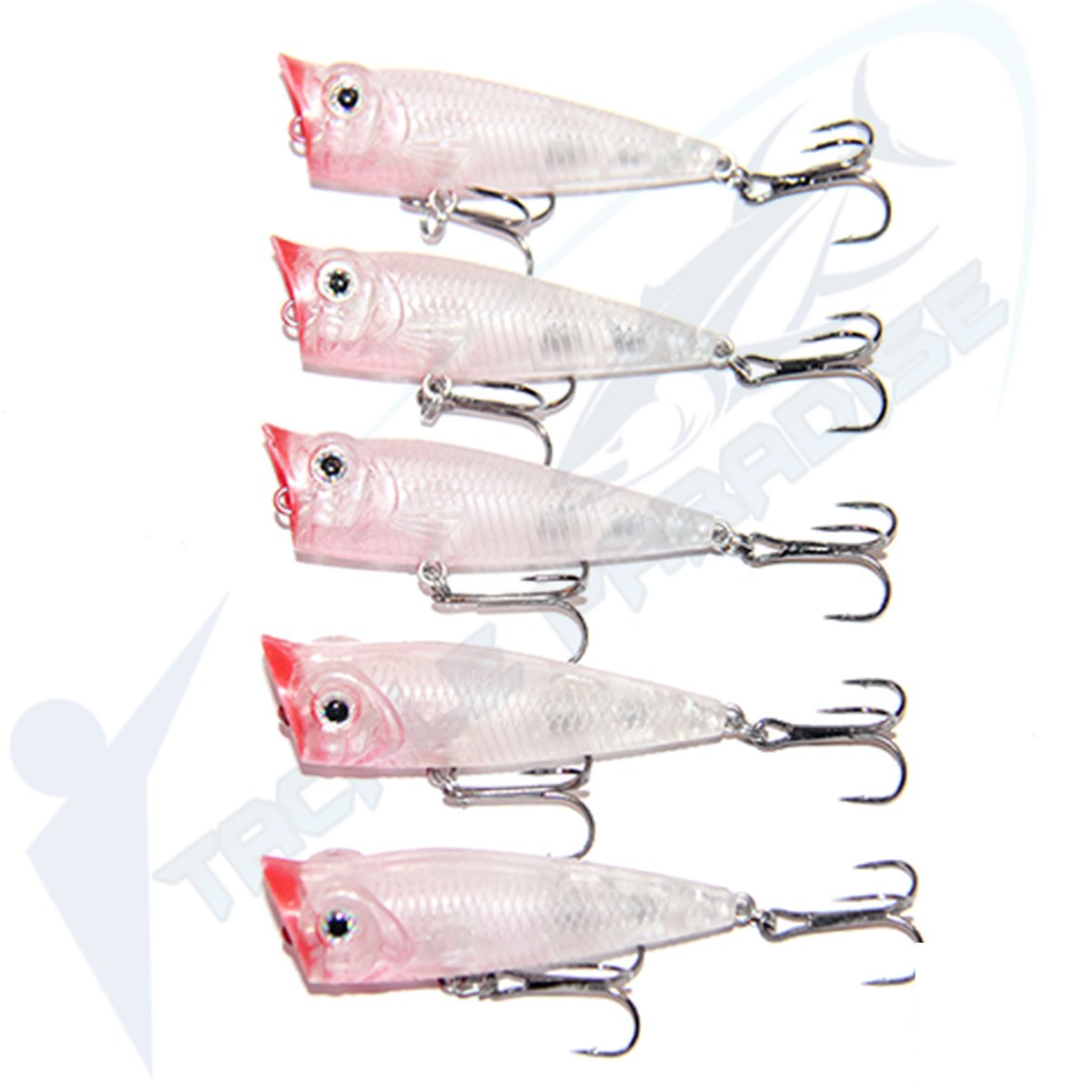 Clear Whiting Poppers 2" Topwater Fishing | TACKLE PARADISE